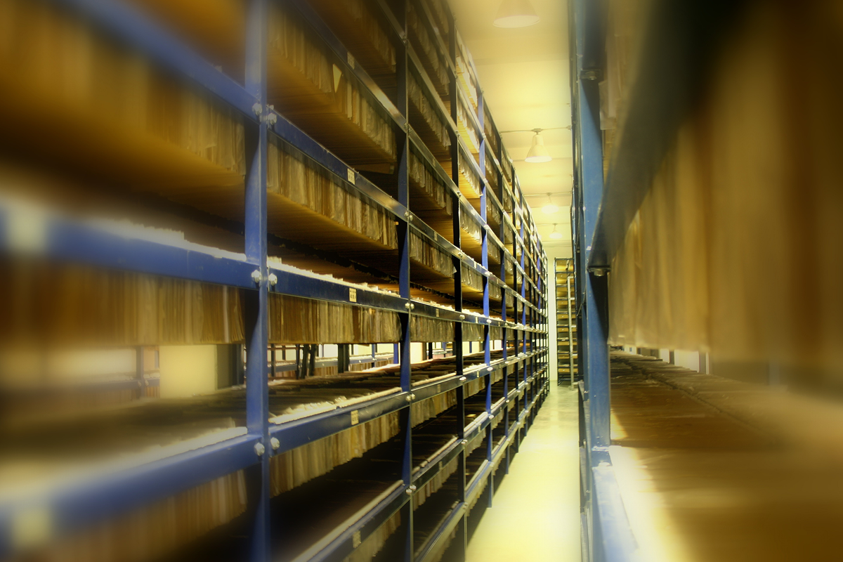 Digital Transformation & Cloud Services | Docufree Blog